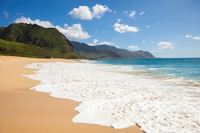 Paradies Poster von William Wirhed | Printler