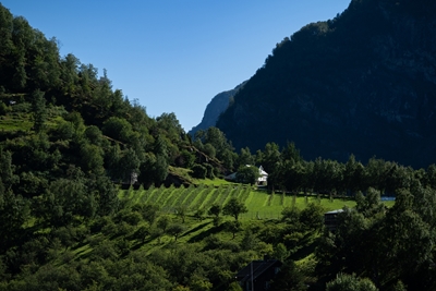 Obstbäume in den Bergen Poster von Rune Rathje | Printler