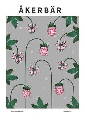 Åkerbär, flower posters & prints by Paperago - Printler