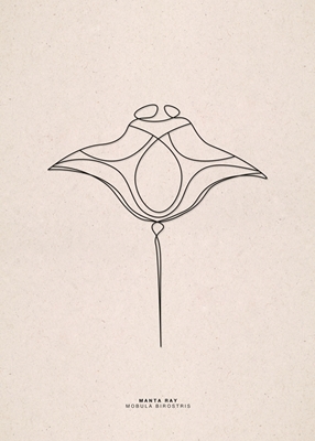 Line Art Manta Rochen Poster von Linda Rosenau | Printler