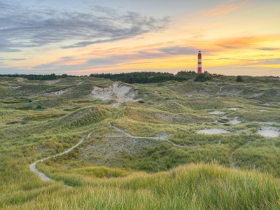 View over the dunes on Amrum posters & prints by Michael Valjak - Printler